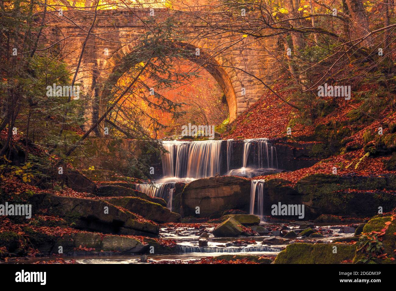 Cascade of waterfalls under a stone bridge in an autumn forest Stock ...