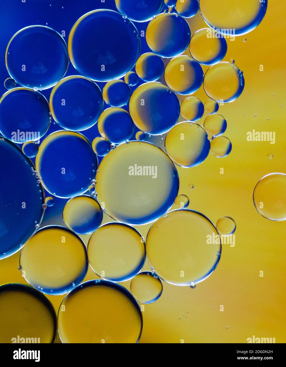 Abstract macro image of colorful oil drop circles in water Stock Photo ...