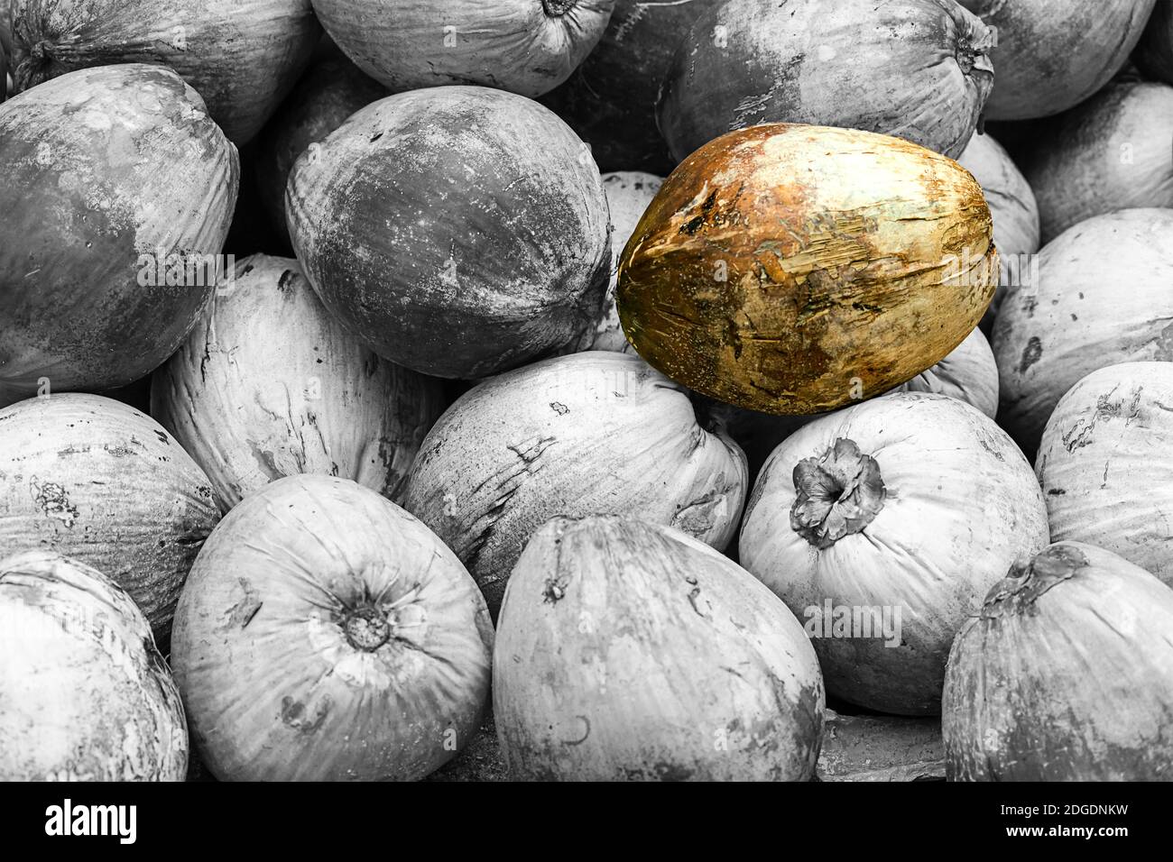 Contrast In Photography Composition