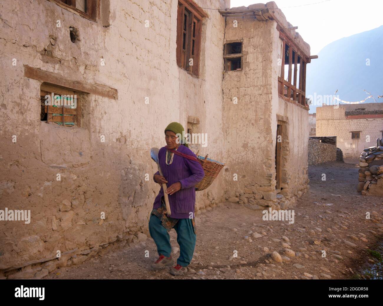 Early morning village life in a Ladakhi community in the Zanskar valley ...