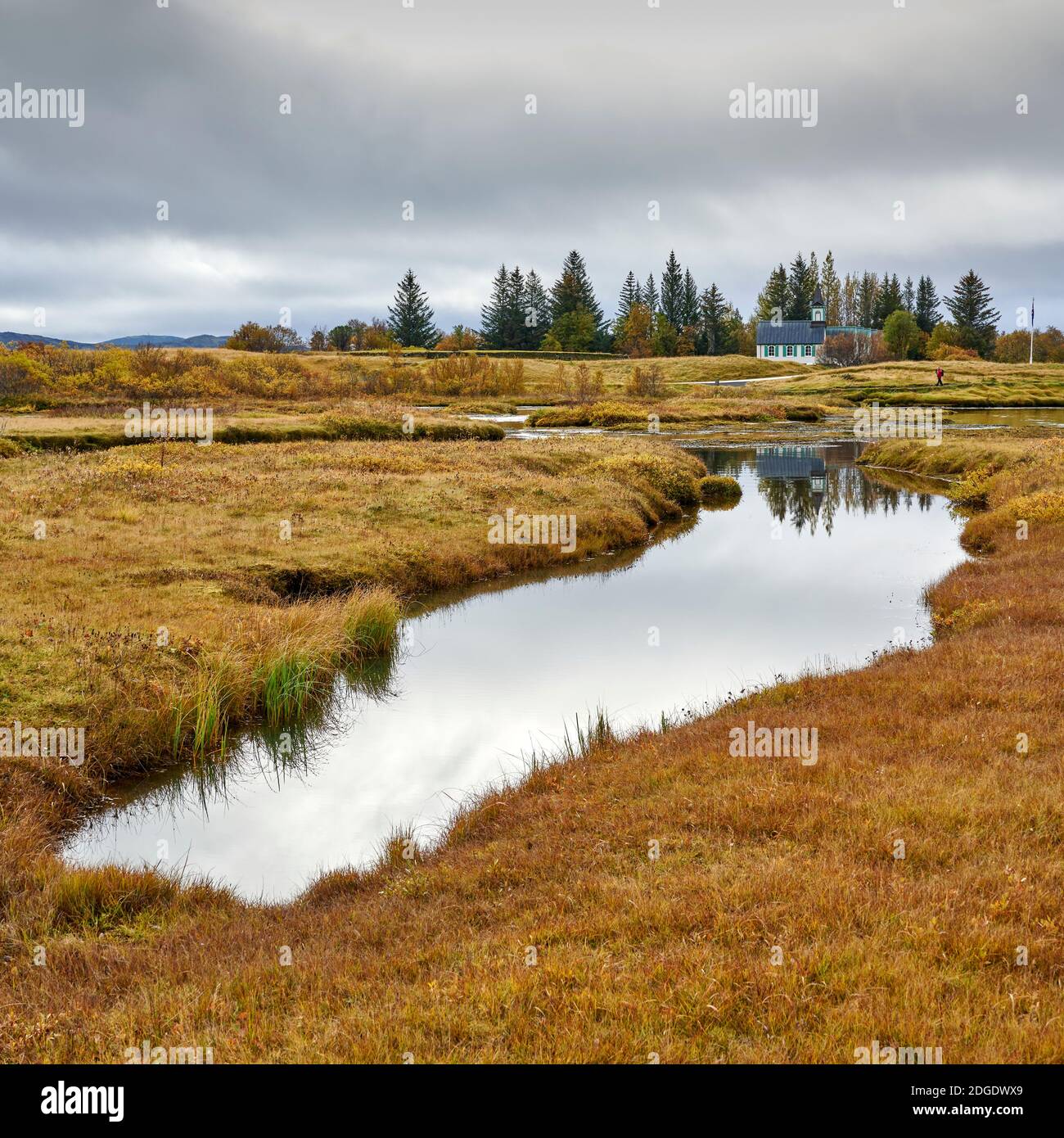 Pond with calm water located in meadow with dry grass on cloudy autumn ...