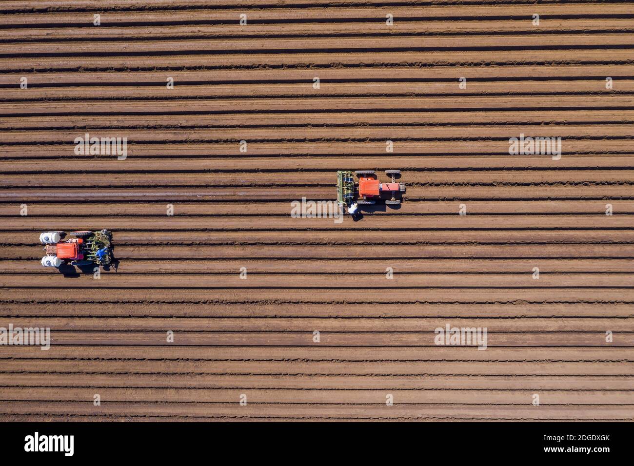 Aerial View Of Workers In A Field Harvesting Crops For Consumers Stock ...
