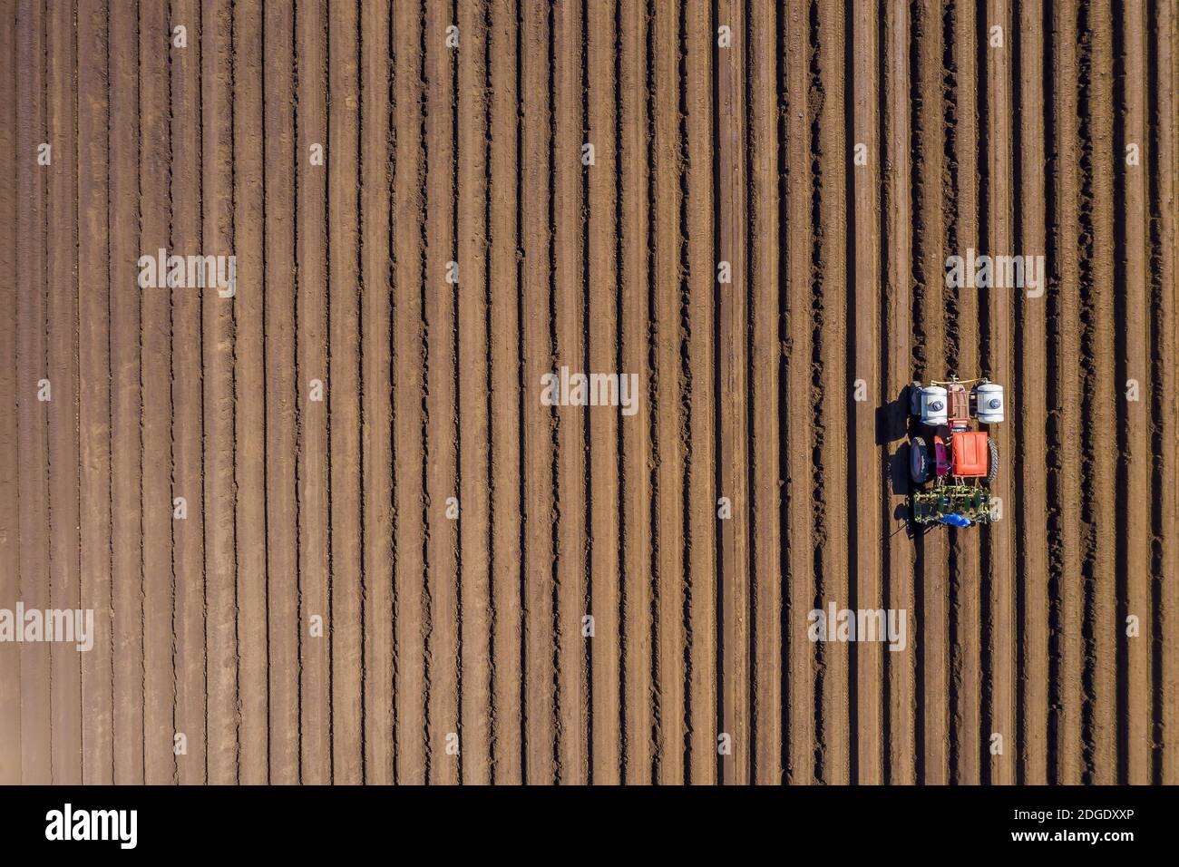 Aerial View Of Workers In A Field Harvesting Crops For Consumers Stock ...