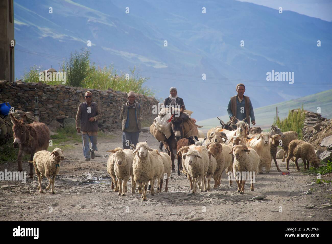 India171002 hi-res stock photography and images - Alamy