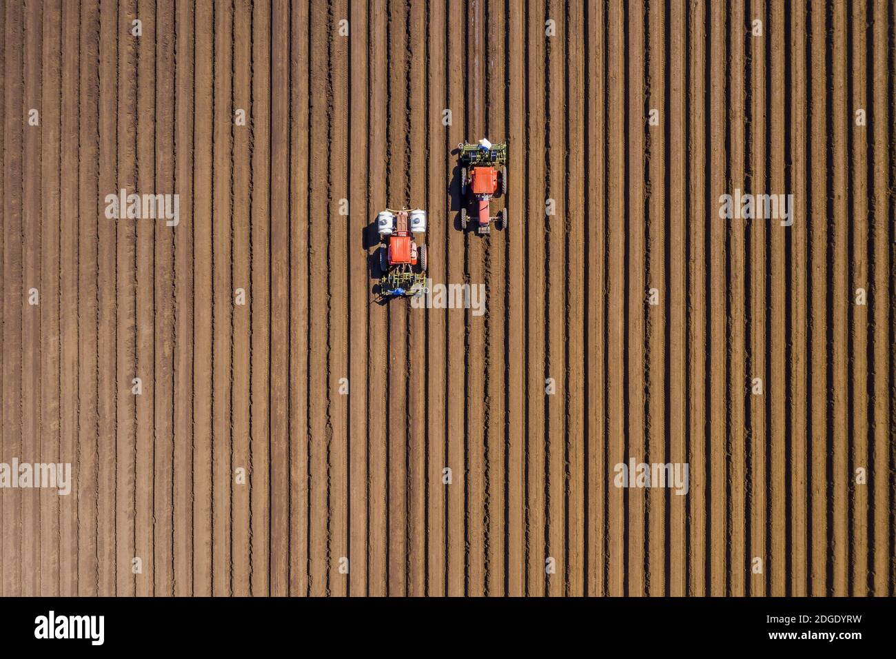 Aerial View Of Workers In A Field Harvesting Crops For Consumers Stock ...
