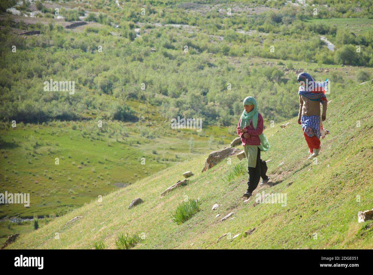 Muslim girls walking on a grass slope. The long road from Padum ...