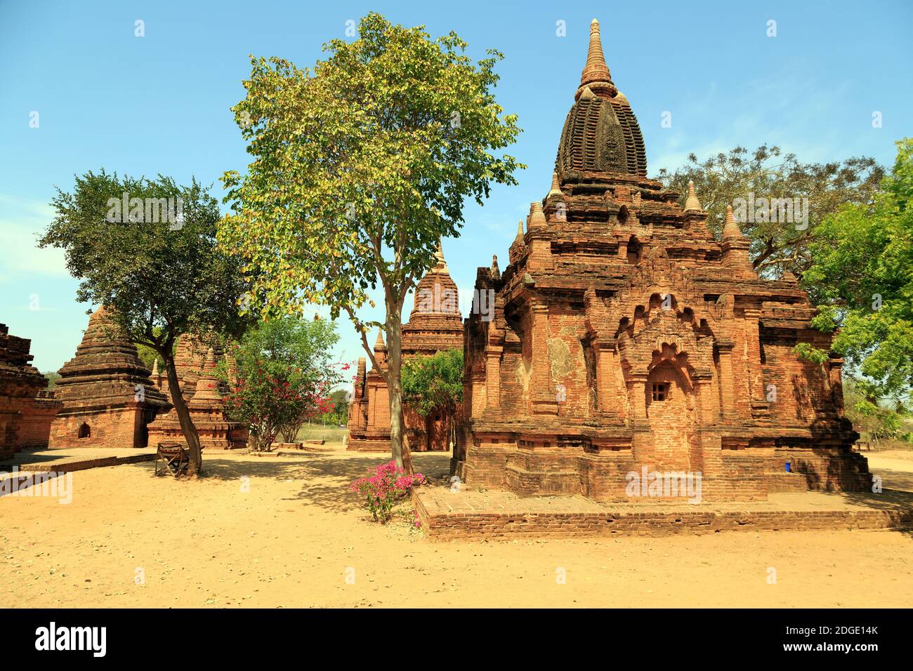 Temple field in Bagan Stock Photo - Alamy