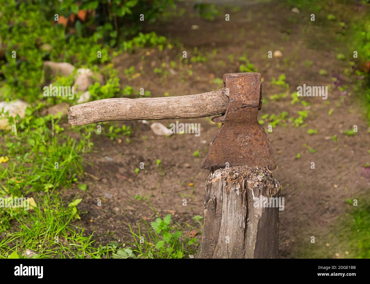 The background of the rusty head of the ax is thrust into the log Stock ...