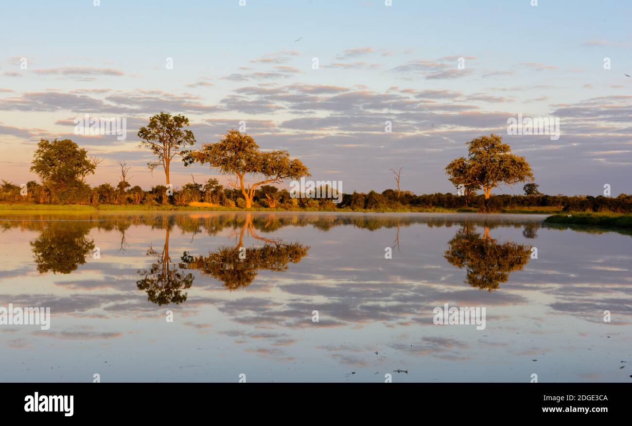 Africa safari scenic pond Stock Photo - Alamy