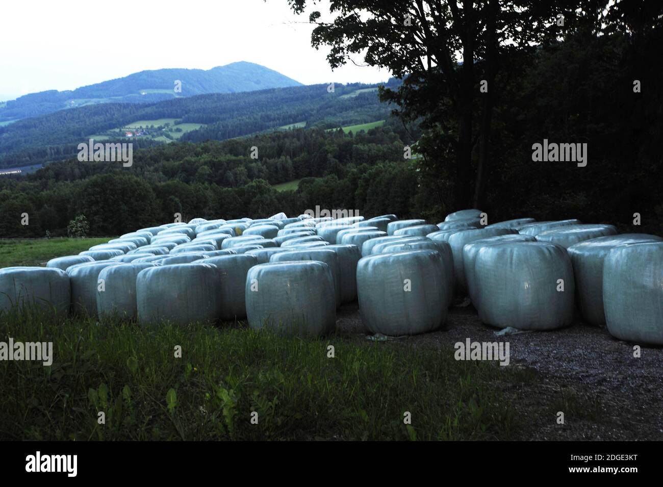 Haylage silo hi-res stock photography and images - Alamy