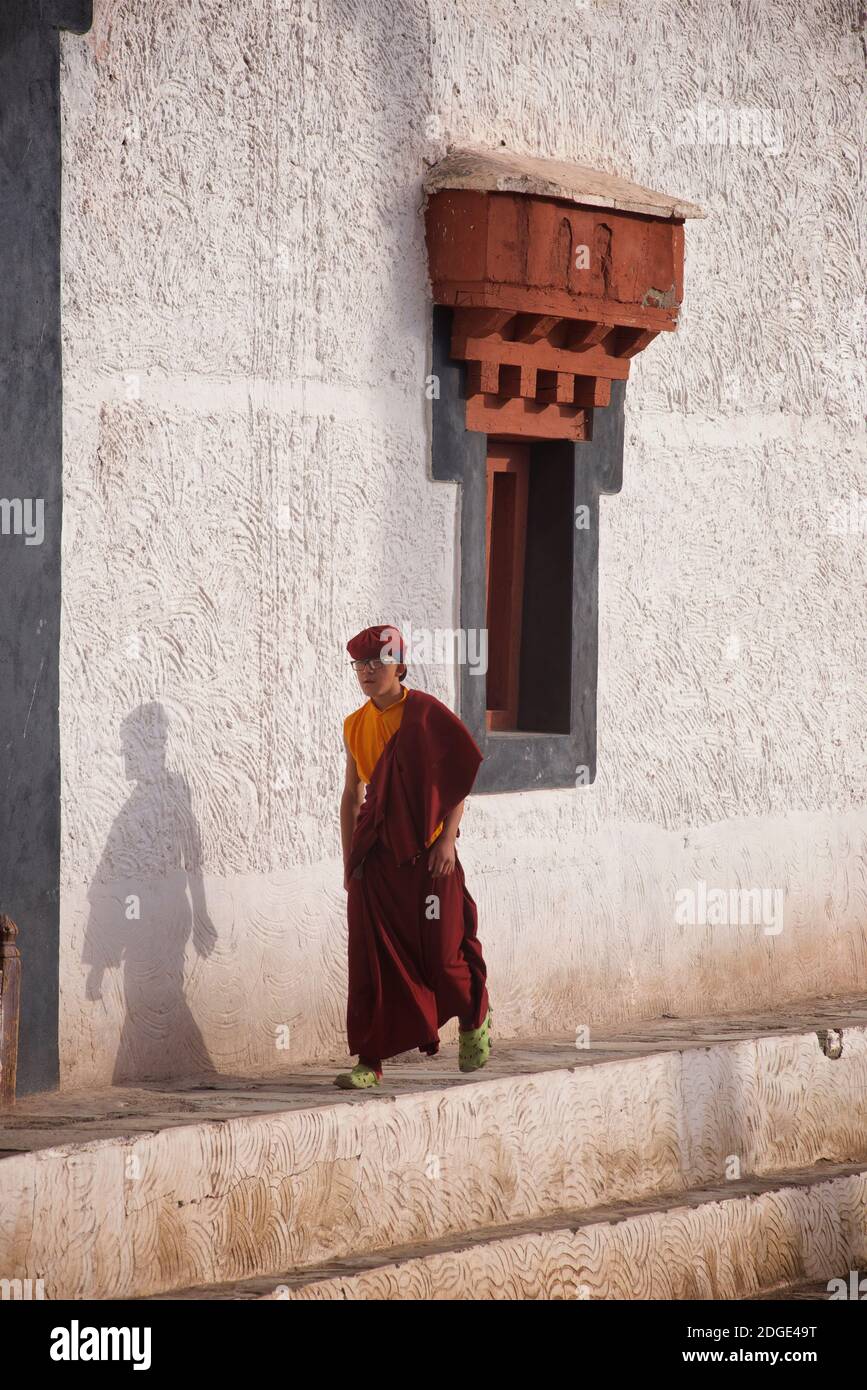 Morning at Hemis monastery. A monk heading to the prayer hall. Hemis ...