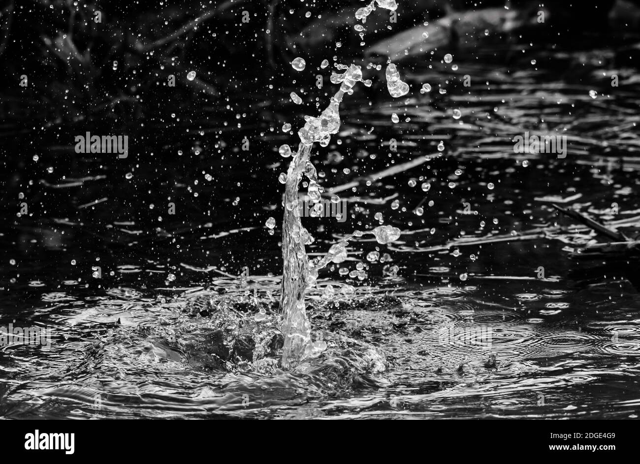 water splash in black and white Stock Photo - Alamy