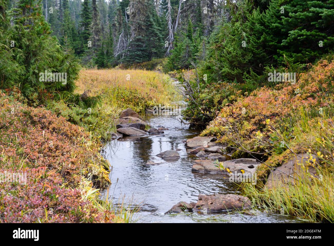 Alpine stream with pastel colours in Fall Stock Photo - Alamy