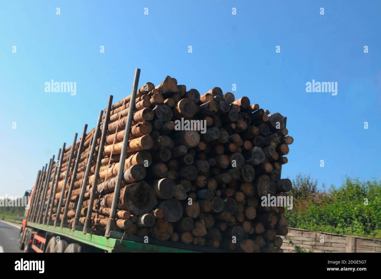 the transportation of timber after wood felling, in the forestry Stock ...