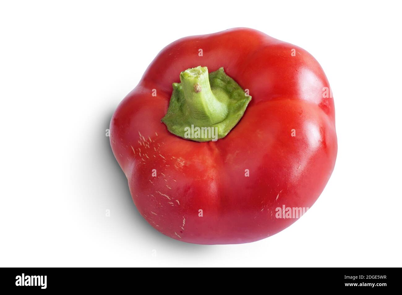 One red pepper isolated on white background Stock Photo - Alamy
