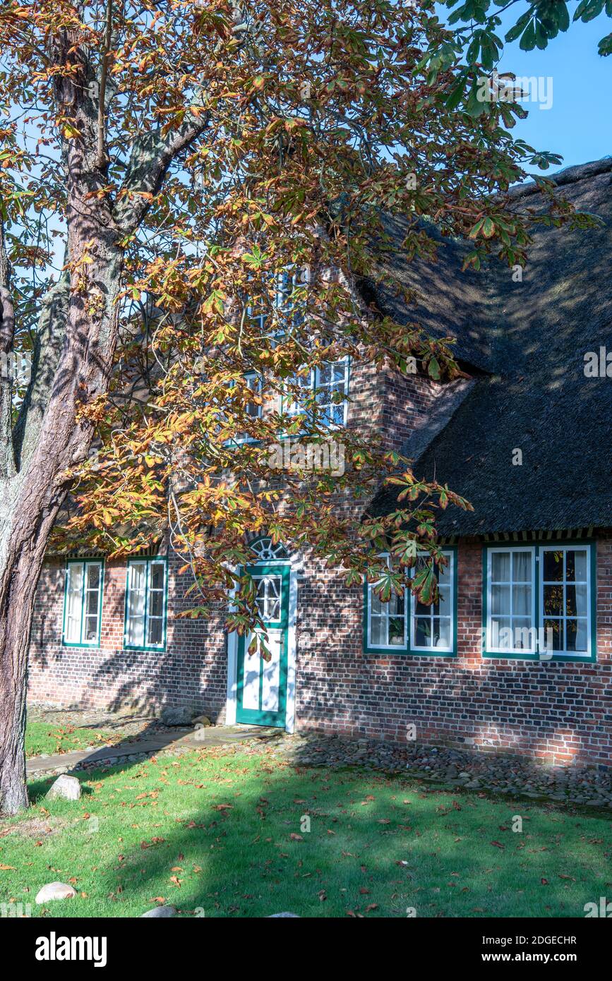 Frieze house hi-res stock photography and images - Alamy