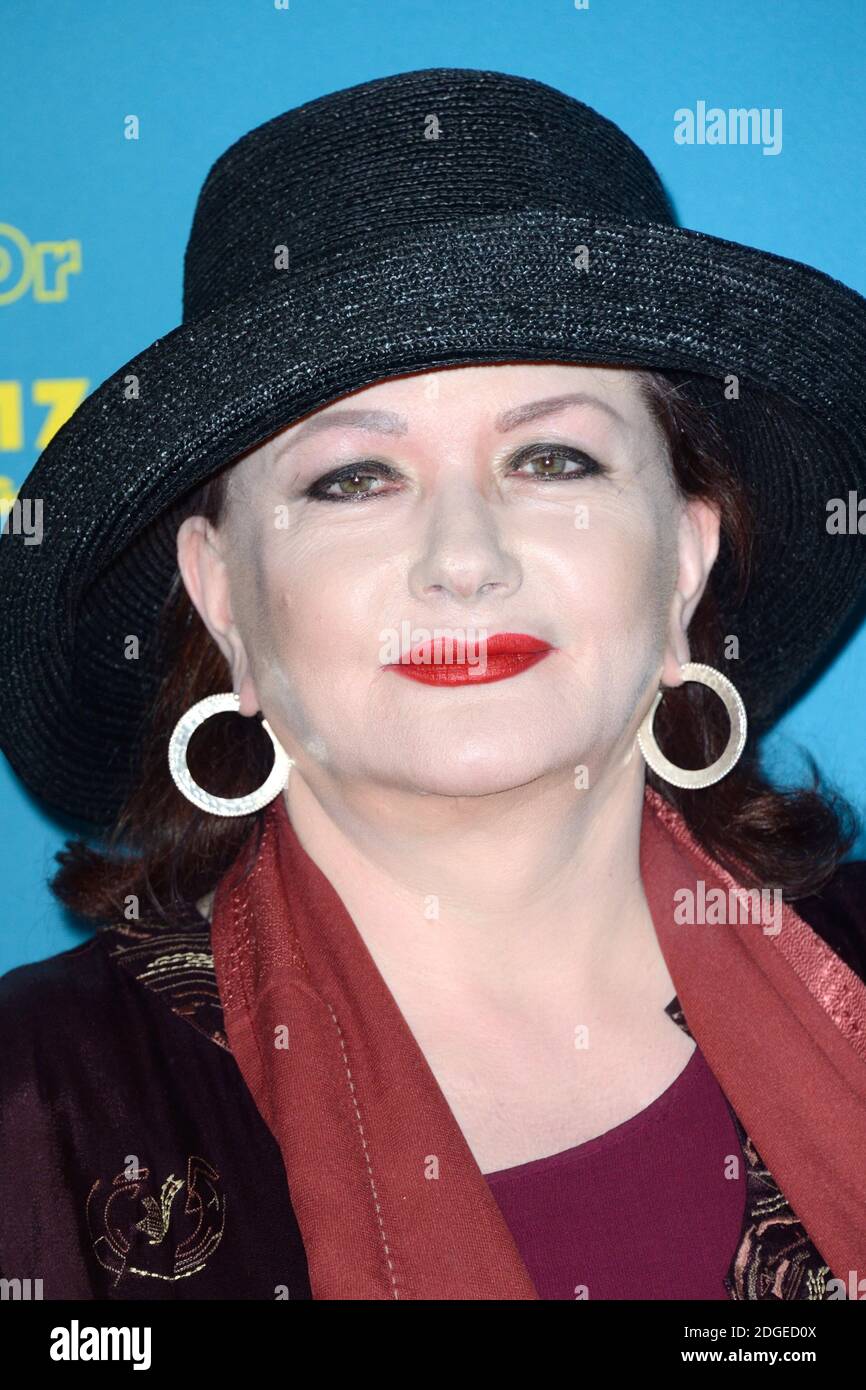 Catherine Jacob attending the Les Nuits en Or 2017 Gala dinner at the ...