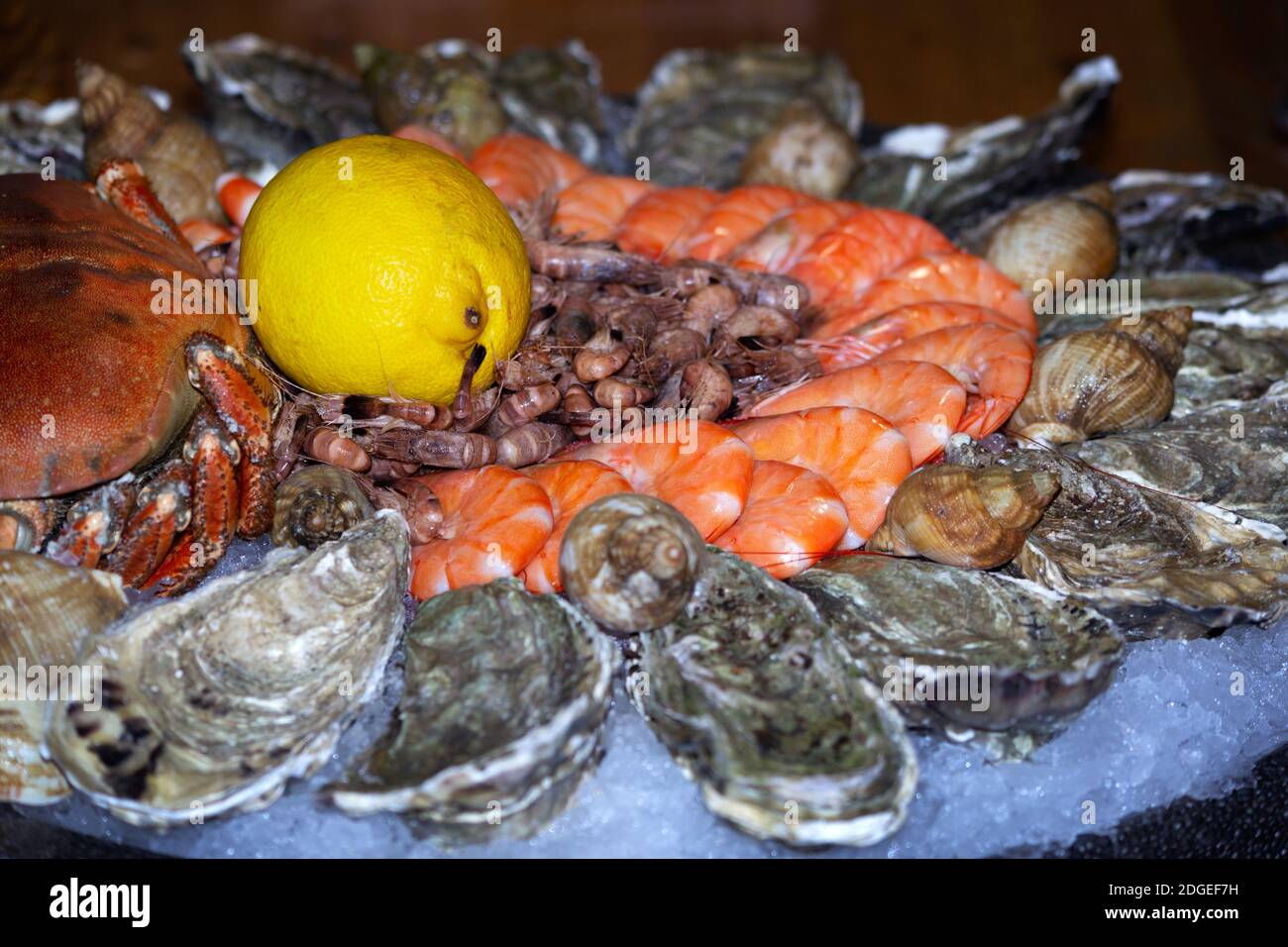 Traditional French seafood plattee looking delicious with crab, oysters ...