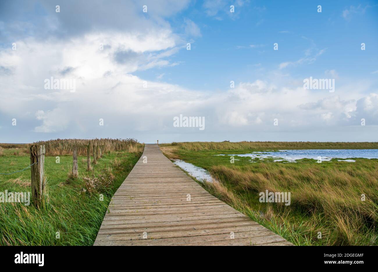 Wooden planks bridge hi-res stock photography and images - Alamy