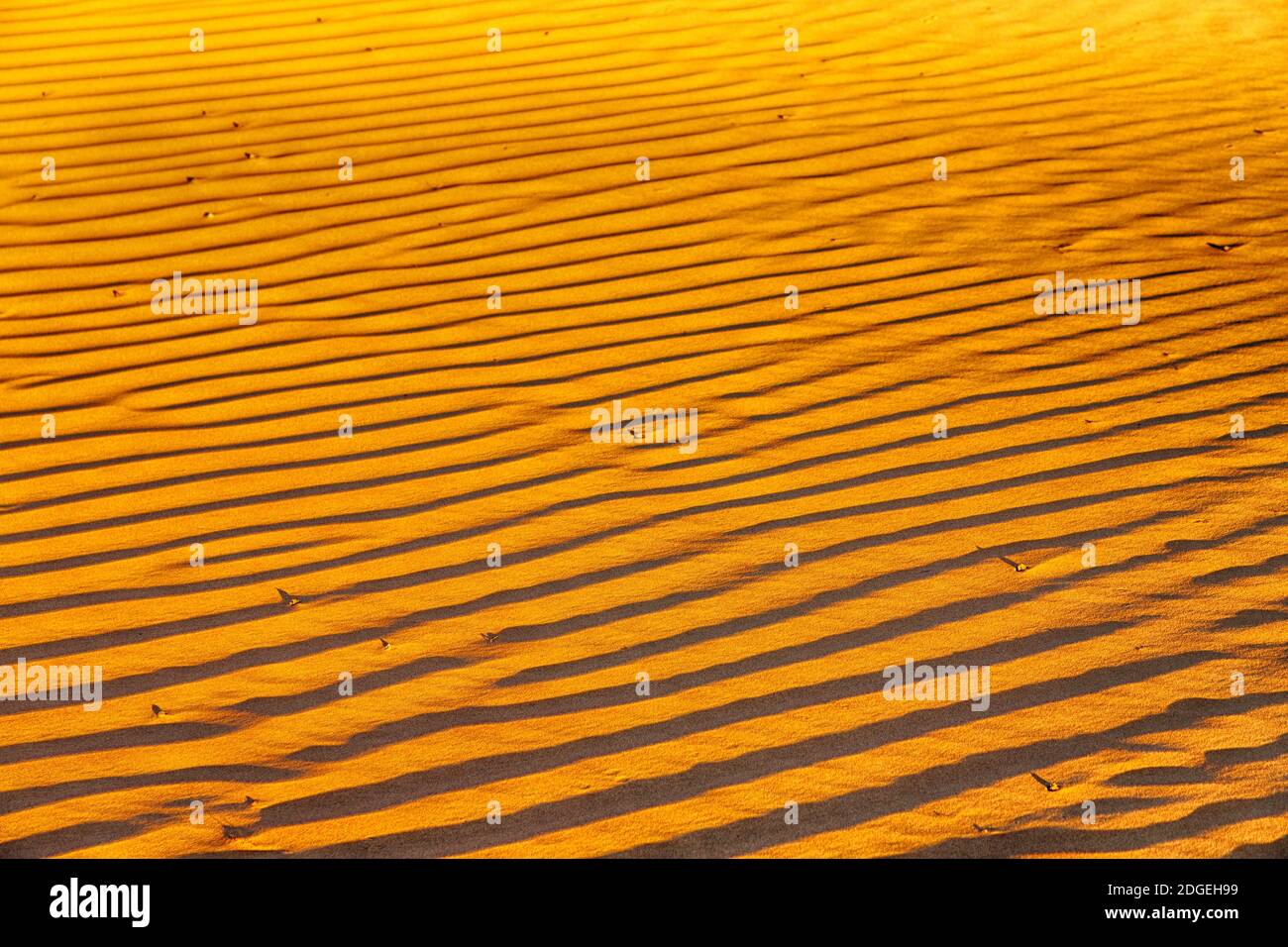 In oman the old desert and the empty quarter abstract texture line wave ...