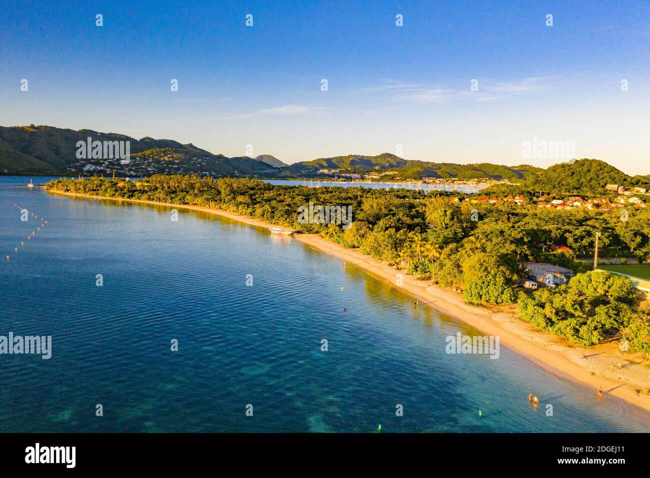 Sainte-Anne beach in Martinique Stock Photo - Alamy