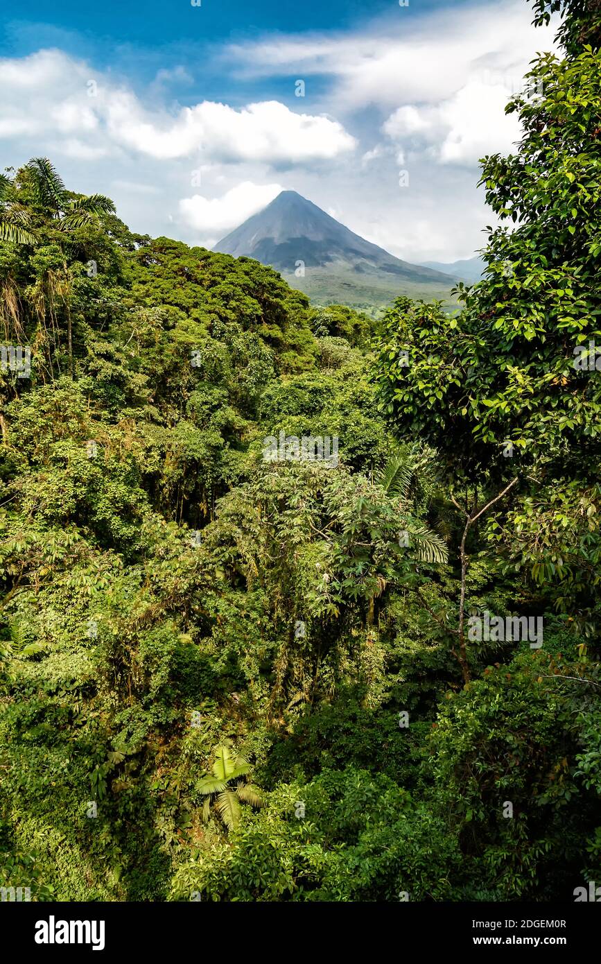 Arenal volcano wildlife hi-res stock photography and images - Alamy