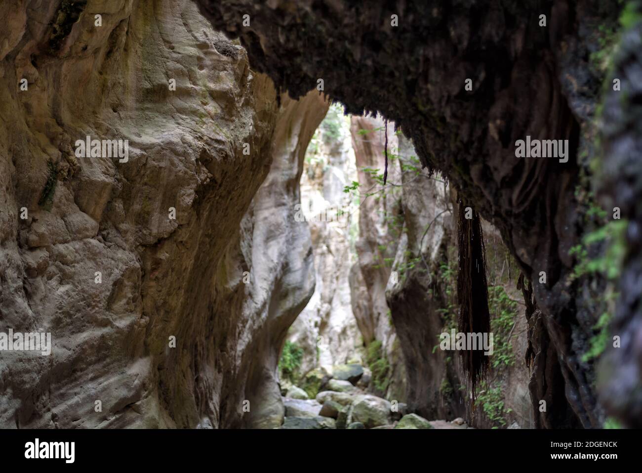 Canyon of Avakas in Cyprus Stock Photo - Alamy