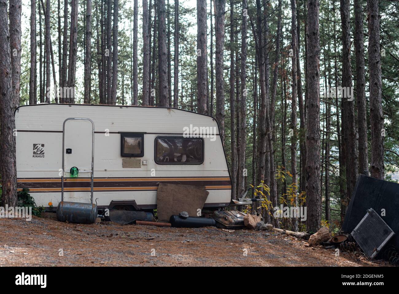 Abandoned caravan RV motorhome in the woods symmetry contrast sharp ...