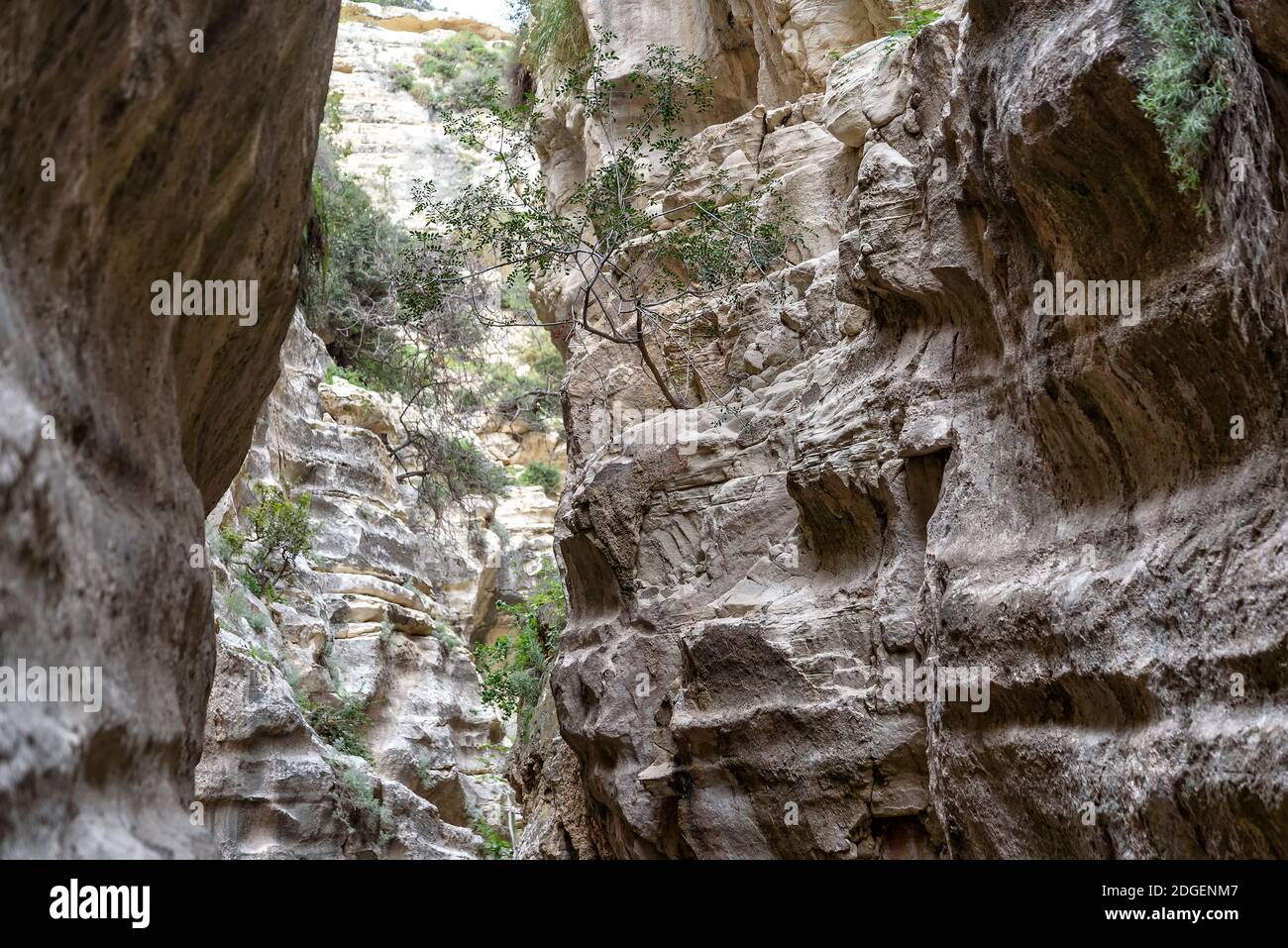Canyon of Avakas in Cyprus Stock Photo - Alamy