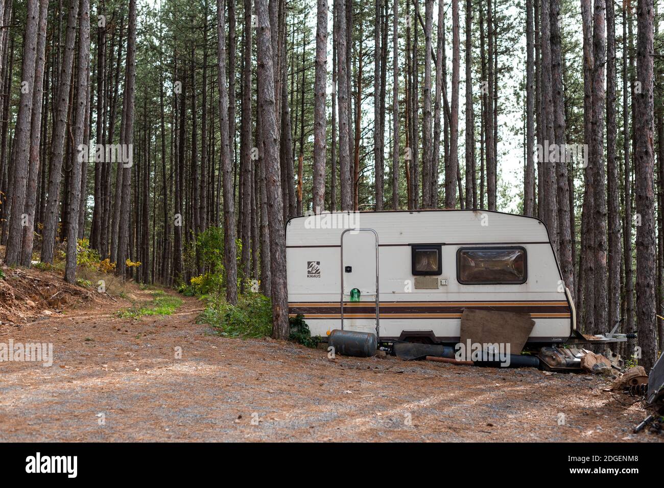 Abandoned caravan RV motorhome in the woods symmetry contrast sharp ...