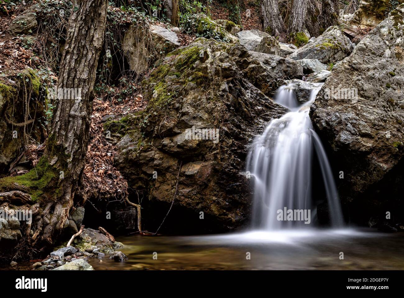 White river cyprus hi-res stock photography and images - Alamy