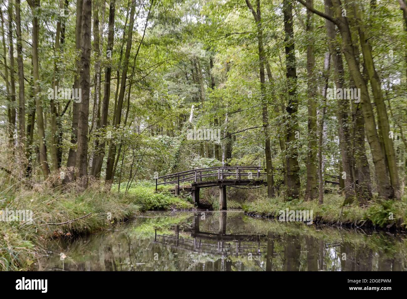 Landscape in the Spreewald in Brandenburg in Germany Stock Photo - Alamy