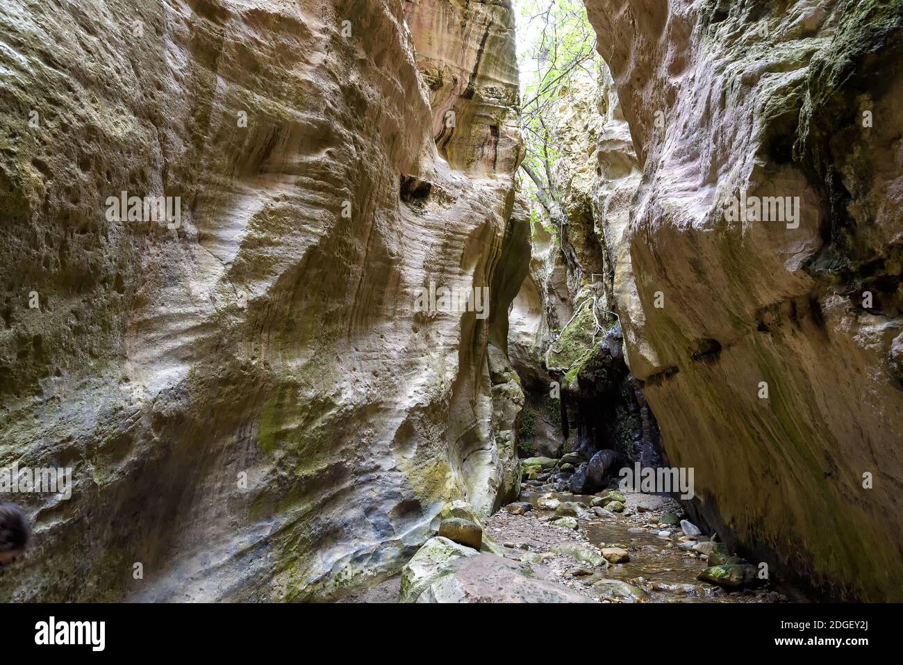 Canyon of Avagas in Cyprus Stock Photo - Alamy