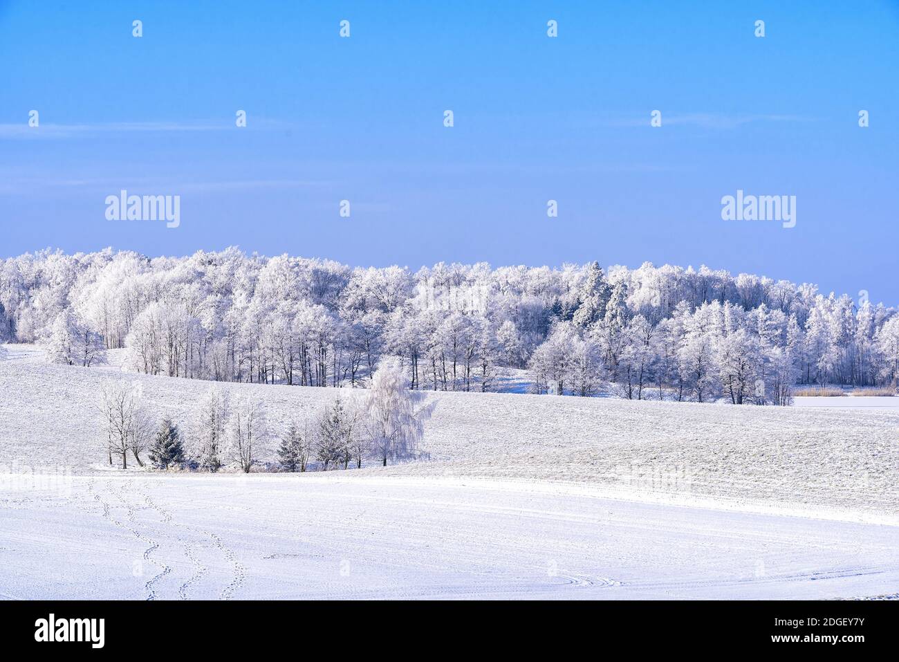 Landscape in winter in Masuria Stock Photo - Alamy