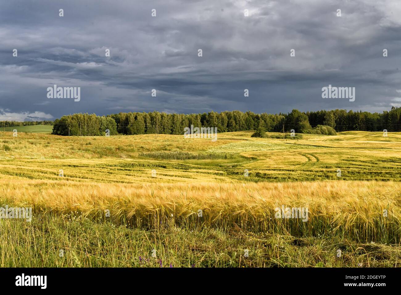 Wavy land hi-res stock photography and images - Alamy
