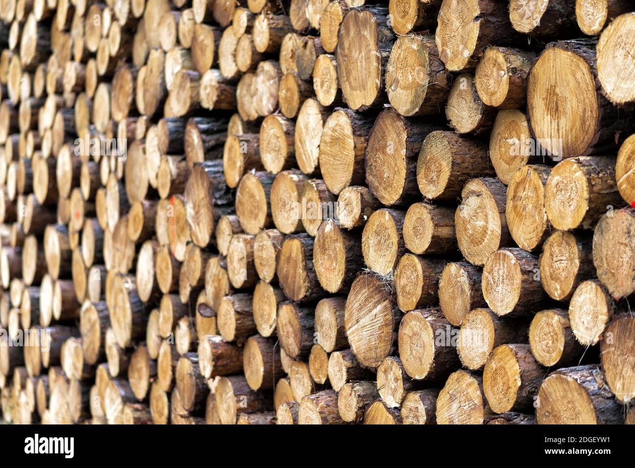 Wooden log pieces hi-res stock photography and images - Alamy