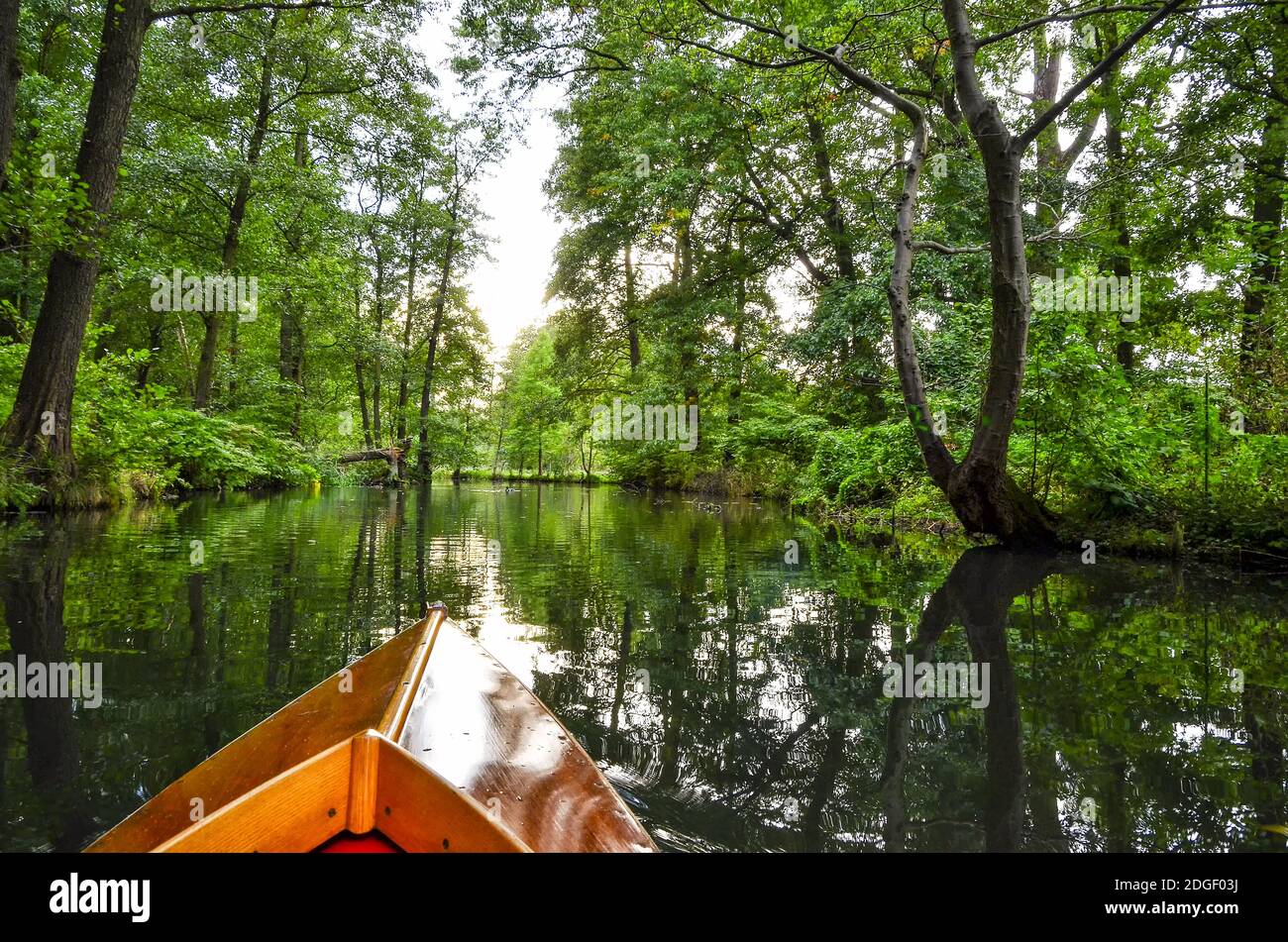 Landscape in the Spreewald in Brandenburg in Germany Stock Photo - Alamy