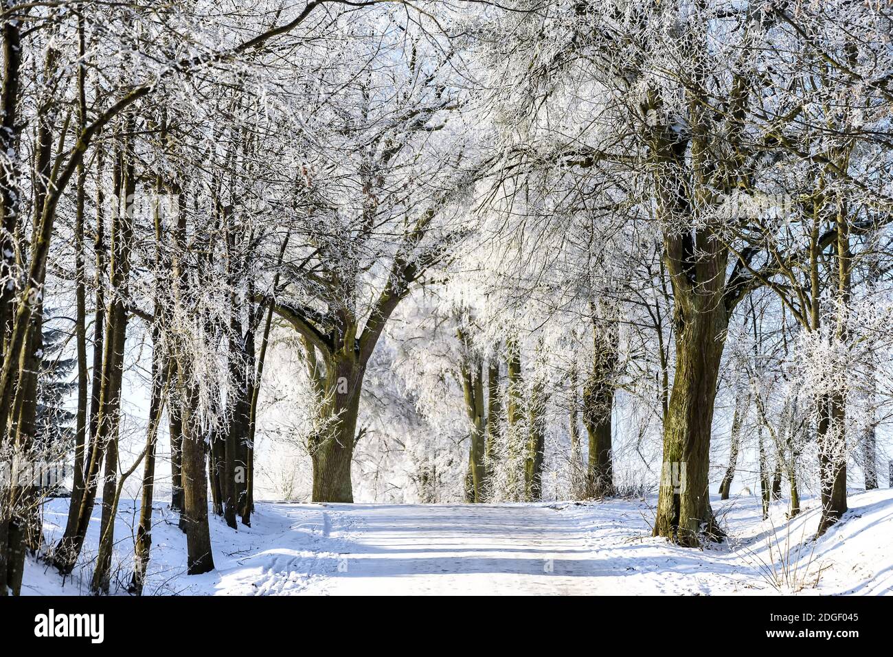 Landscape in winter in Masuria Stock Photo - Alamy