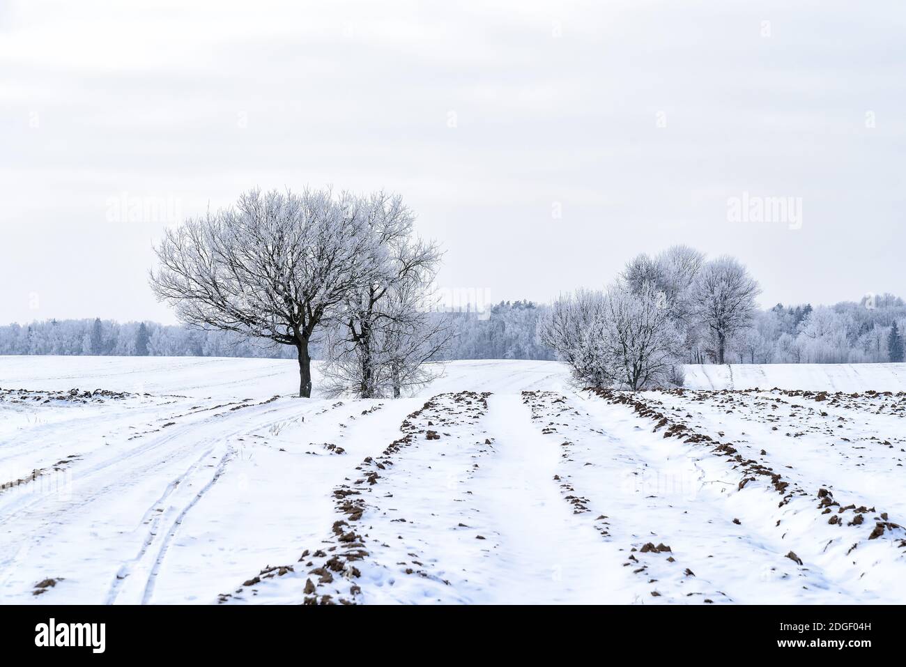 Landscape in winter in Masuria Stock Photo - Alamy