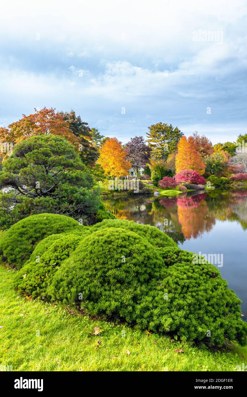 Panoramic view of Hadlock Pond in foliage season. Tree colors of Acadia ...