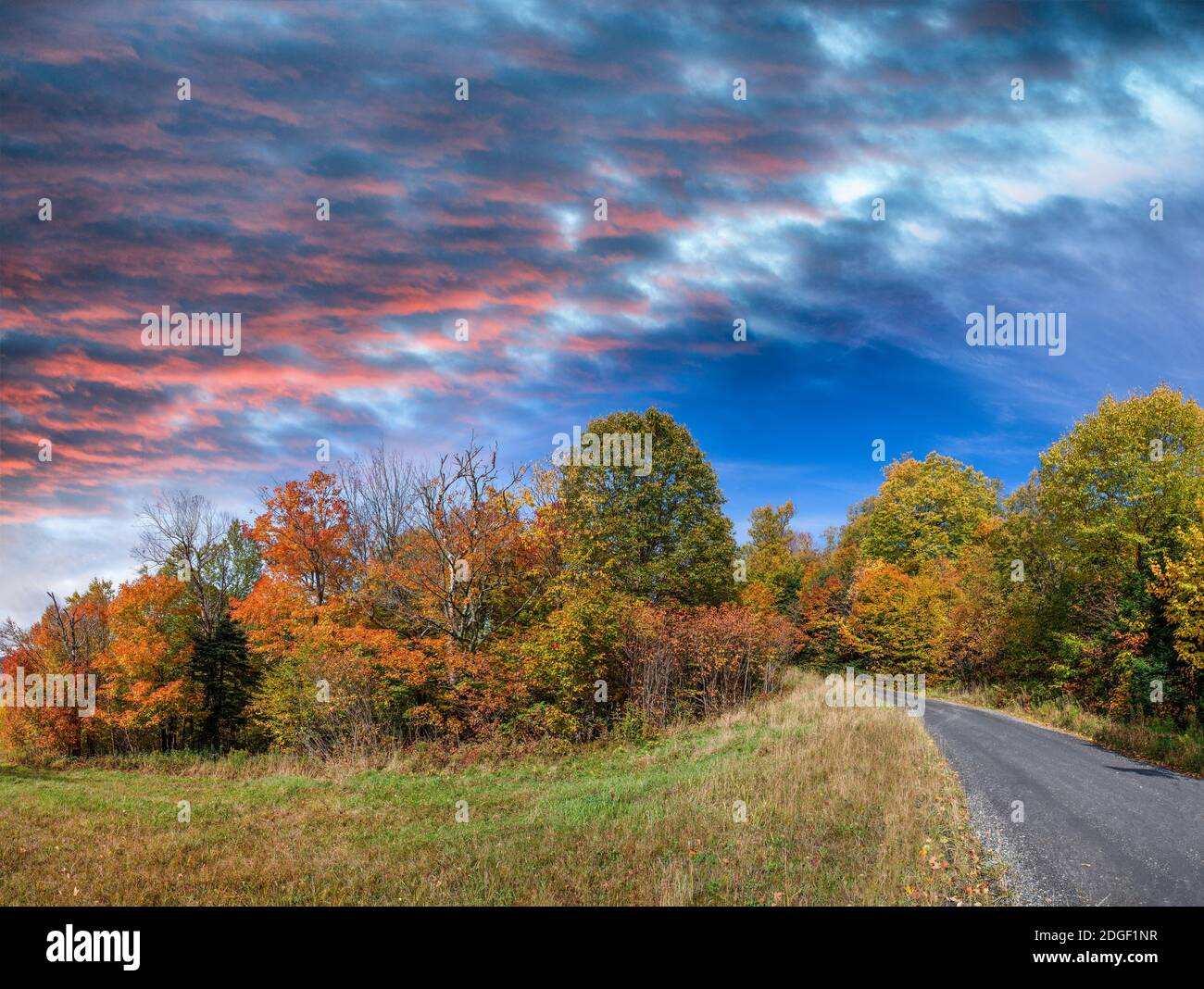 Land trees new england road hi-res stock photography and images - Alamy