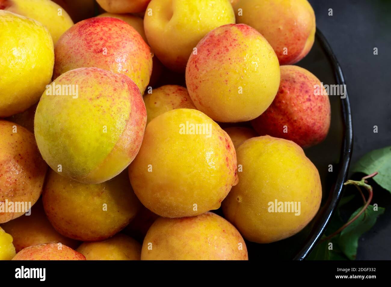 Apricot growing indoors hi-res stock photography and images - Alamy