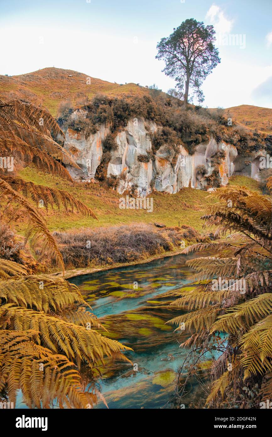 Beautiful Hobbiton Movie Set Village in New Zealand with autumn colors ...
