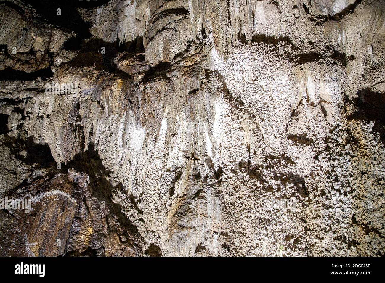 Inside the Ngarua Caves, Takaka Hills, Nelson Tasman, New Zealand ...