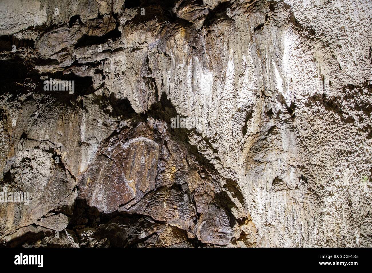 Inside the Ngarua Caves, Takaka Hills, Nelson Tasman, New Zealand ...