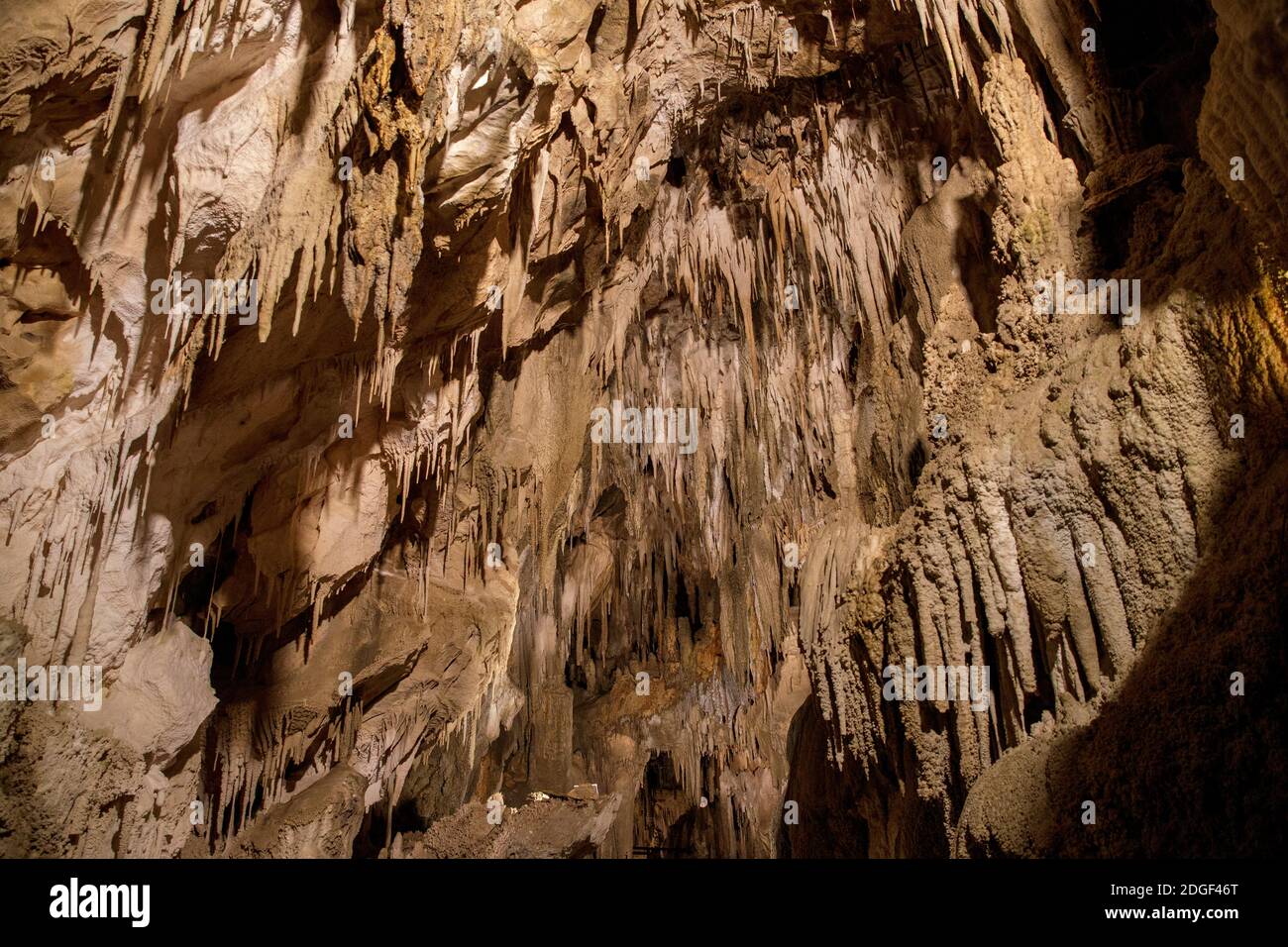 Inside the Ngarua Caves, Takaka Hills, Nelson Tasman, New Zealand ...