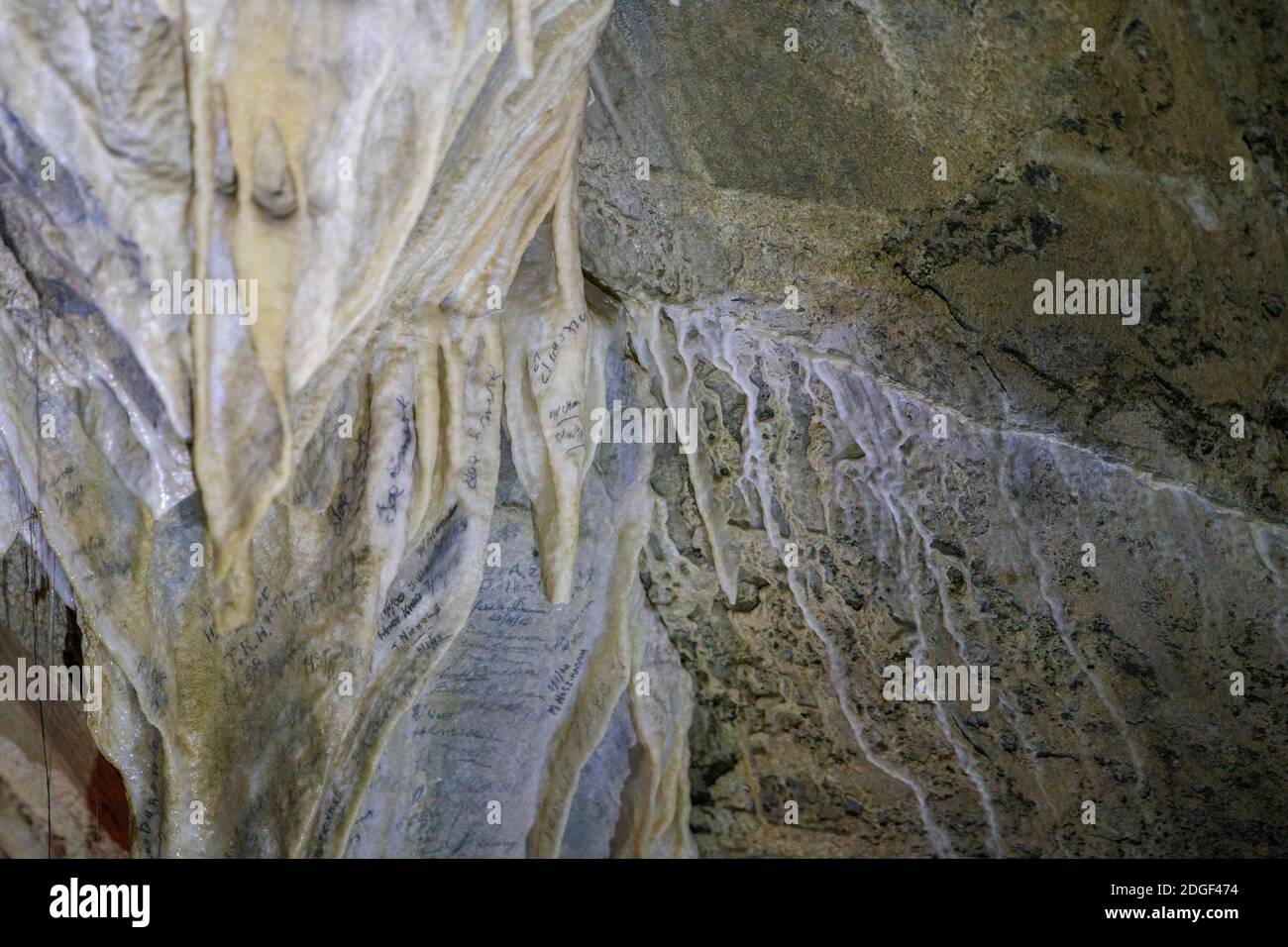 Inside the Ngarua Caves, Takaka Hills, Nelson Tasman, New Zealand ...