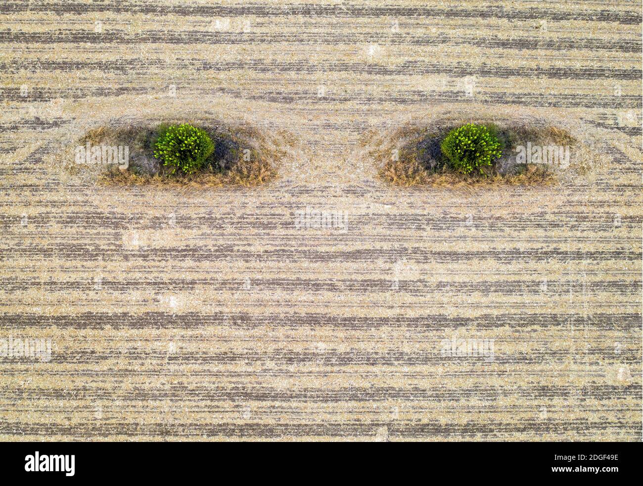 Eyes backdrop hi-res stock photography and images - Alamy