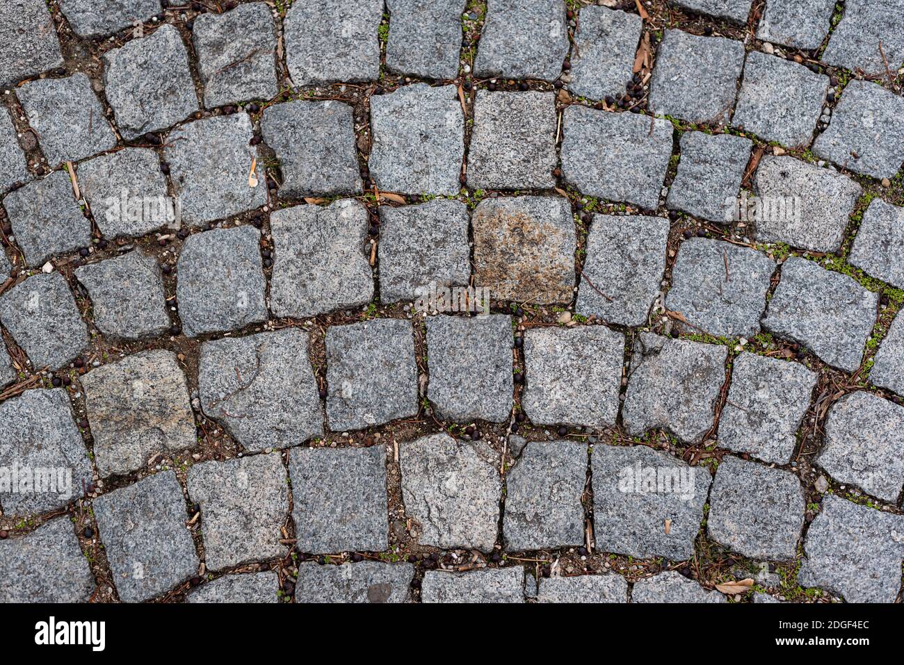 Top texture view of stone pavement sharp focus Stock Photo - Alamy