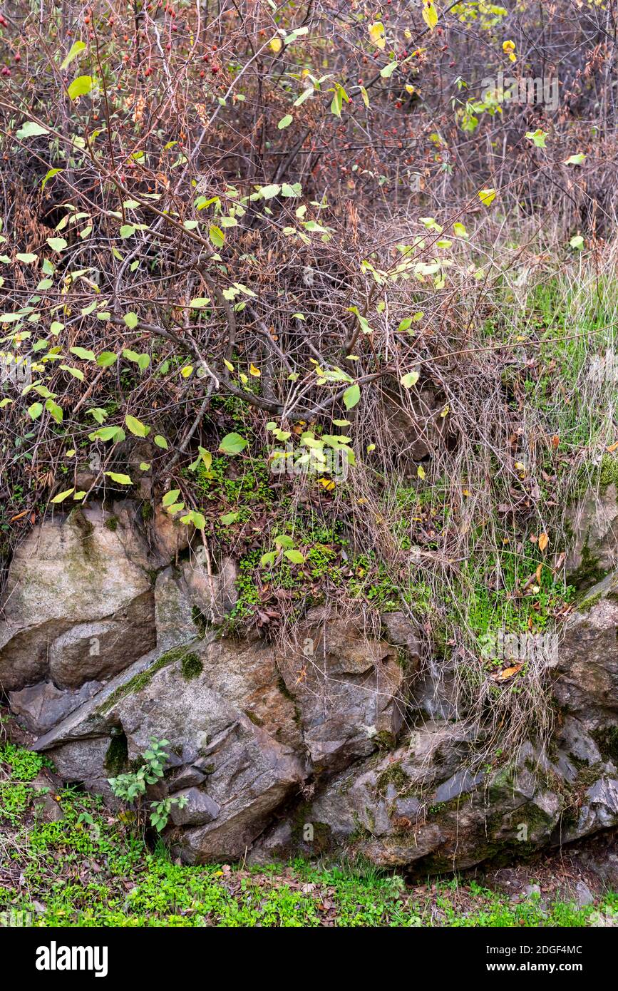 Textured stone background hard surface rock mountain trail Stock Photo ...